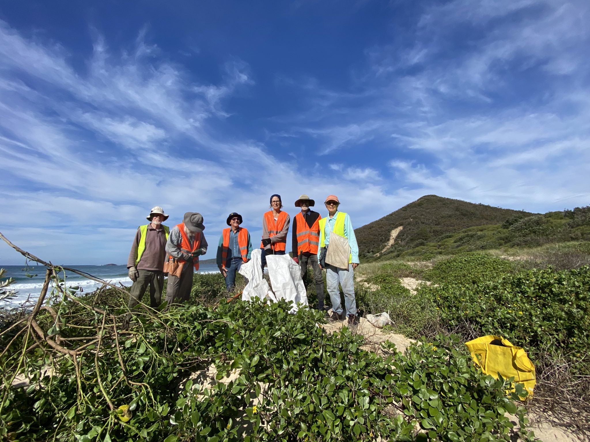 Friends Of Tomaree National Park Mark World Environment Day - News Of ...