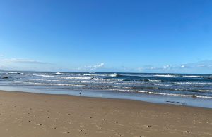 Uncle Micklo Jarrett shares the Gumbaynggirr Sea Dreaming story of ...