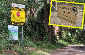 Mystery beach signs pose complex questions - News Of The Area