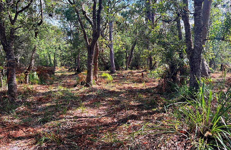 Lot 12 Nardoo Street, Pindimar is on the market with Hawks Nest First ...