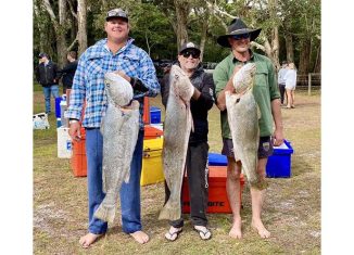 Myall Coast Sport Archives - News Of The Area