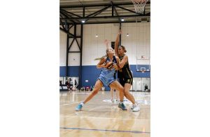 Former Coffs Suns junior stars for NSW - News Of The Area