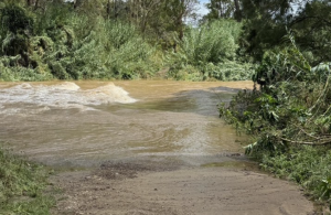 Flood recovery support boosts Dungog Shire - News Of The Area