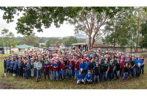 Beef producers to do battle at Wingham Beef Week - News Of The Area