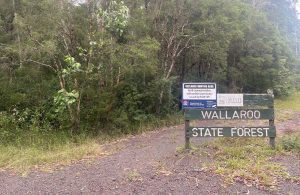 ‘Save Balickera’ launches appeal against Stone Ridge Quarry site ...